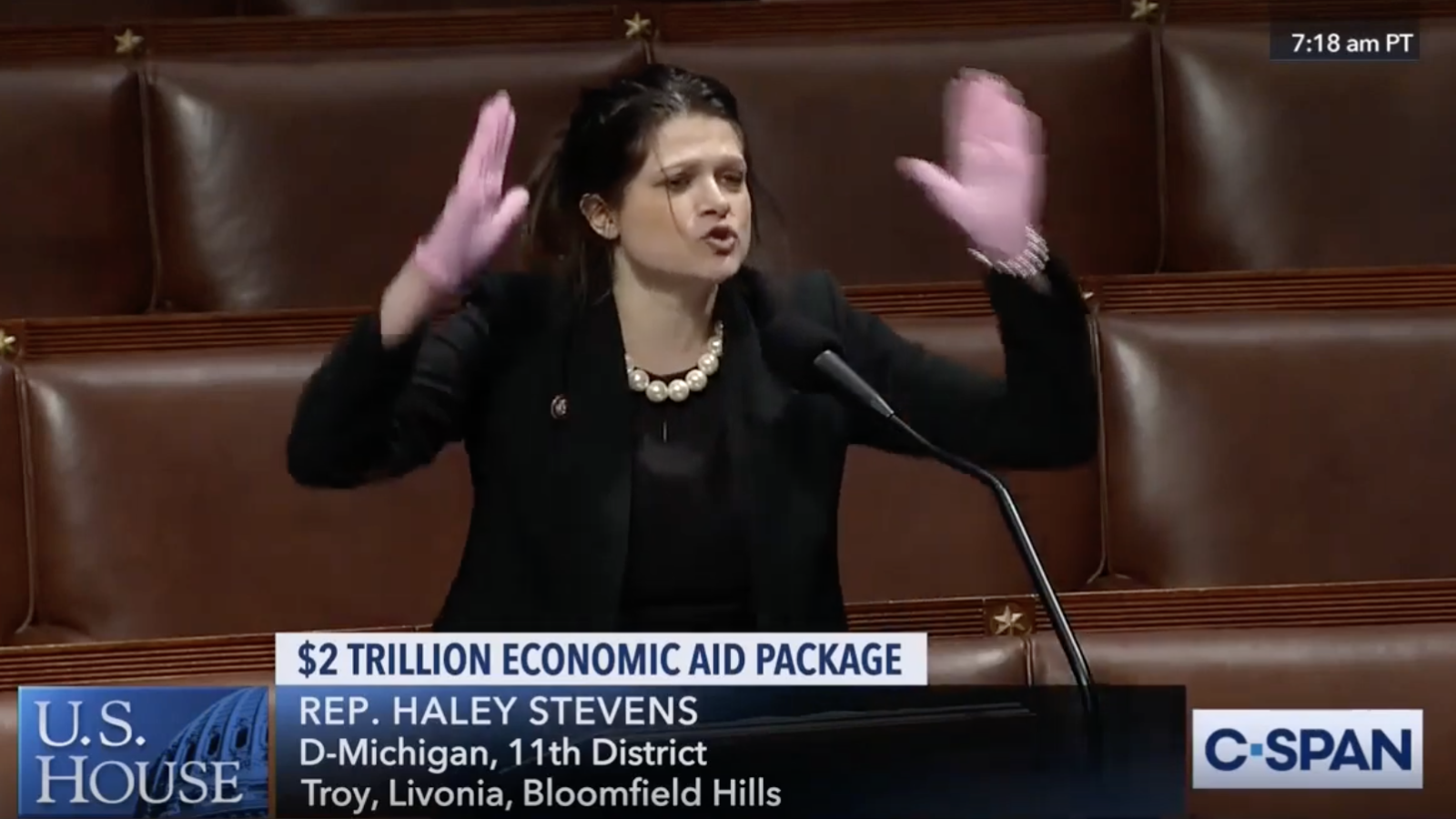 VIDEO: Rep. Stevens loses her marbles (again) on the House floor ...